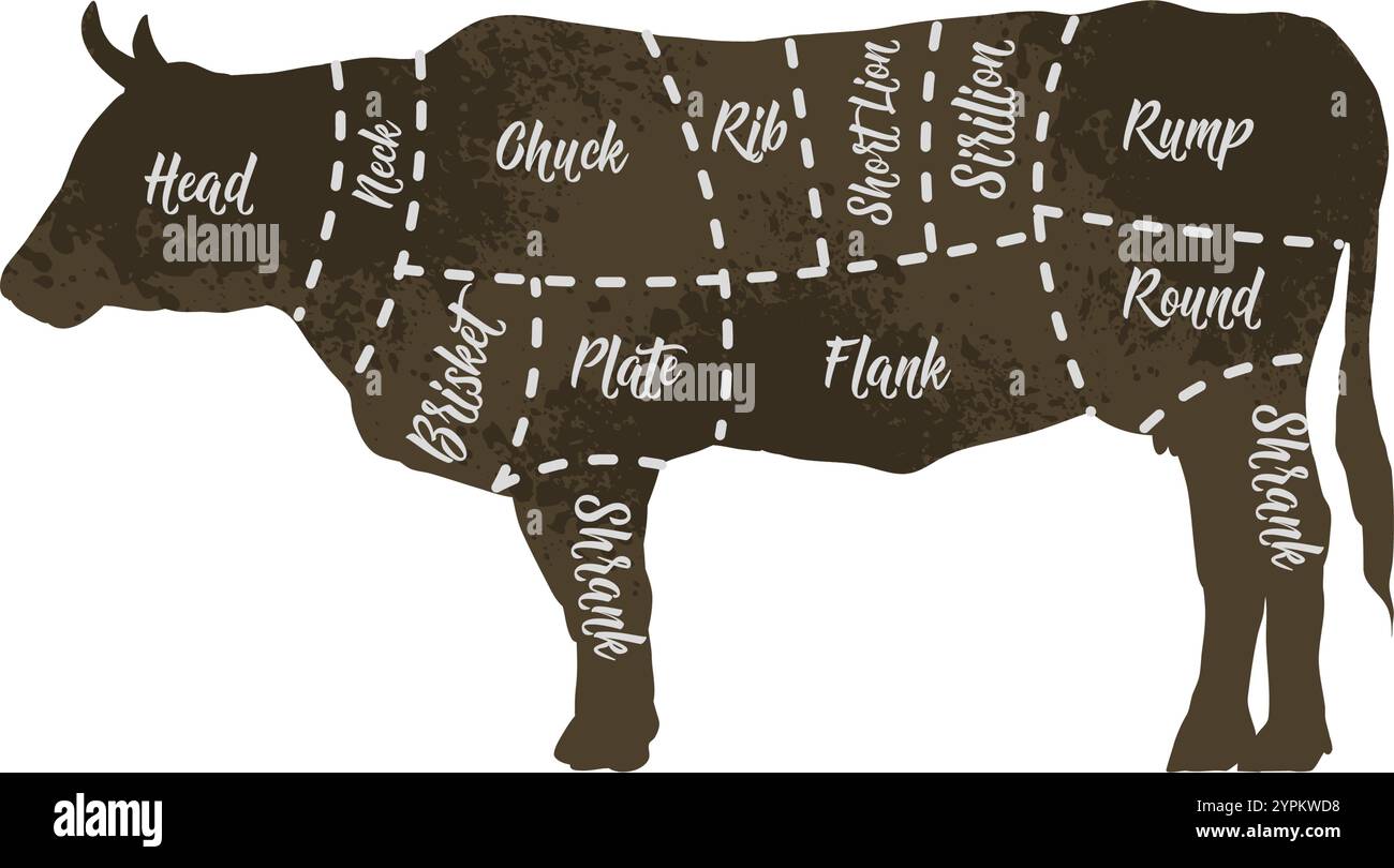 Butcher diagrams of meat cuts, cow, beef Stock Vector Image & Art - Alamy