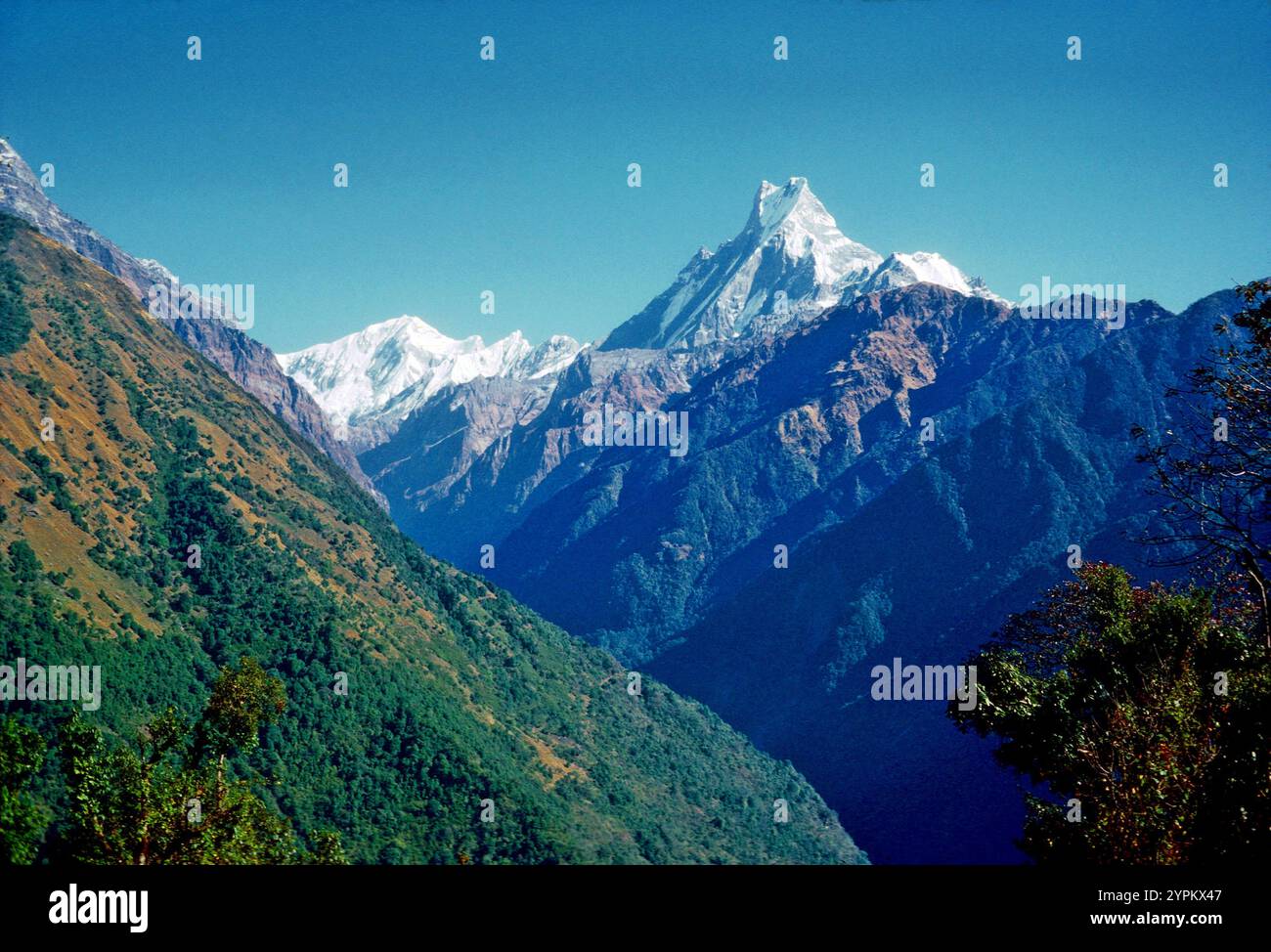 Machhapuchhre (Fishtail) in the Annapurna Massif, seen from the Mardi ...