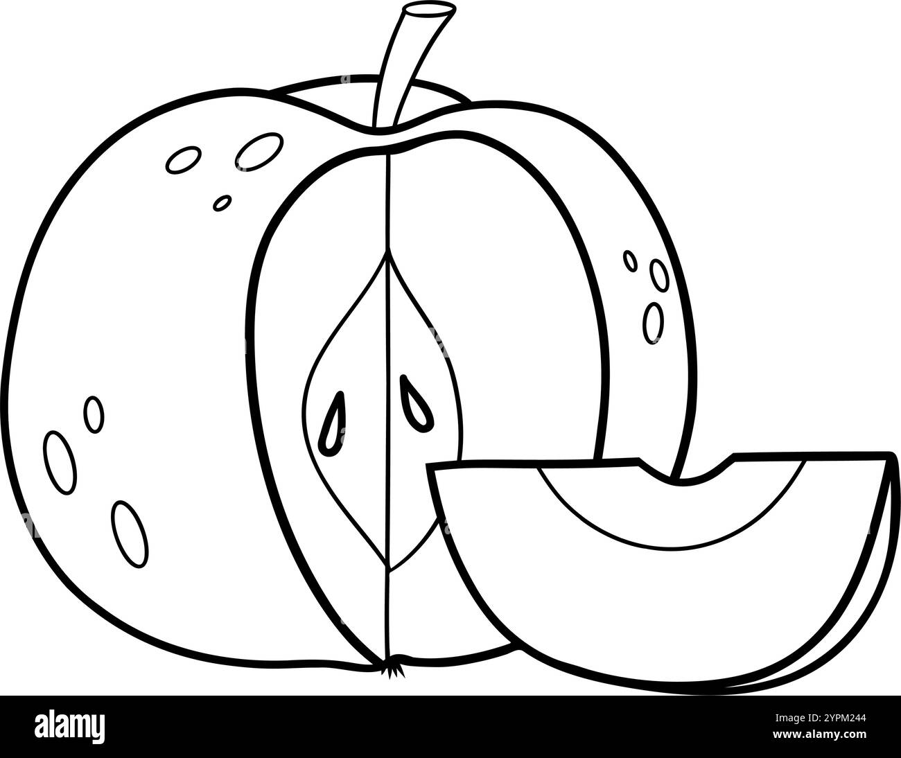 Outline apple. Cut half and slice of fruit. Linear hand drawing ...