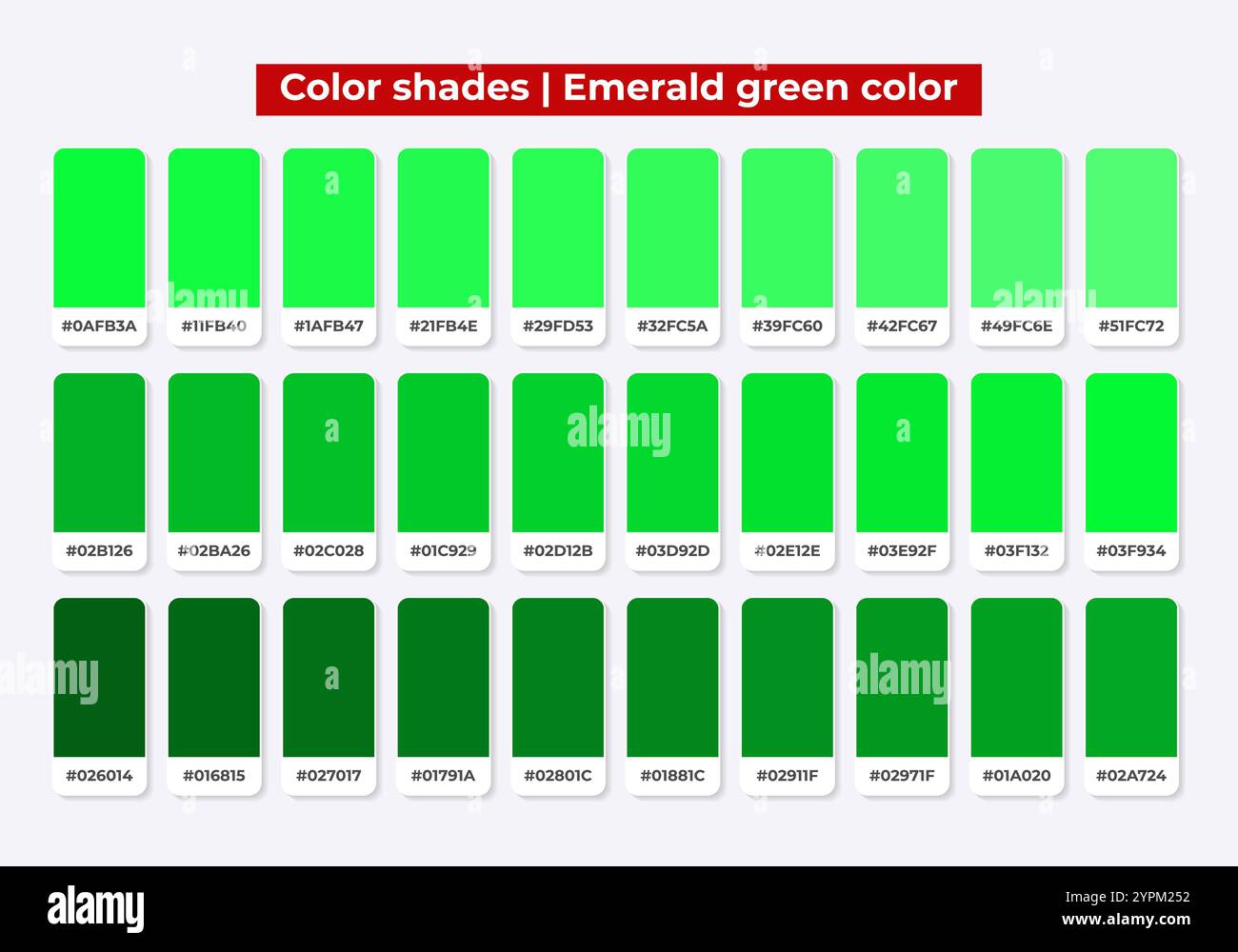 Color palette, Green color shades, Color harmony, Set of trendy flat ...