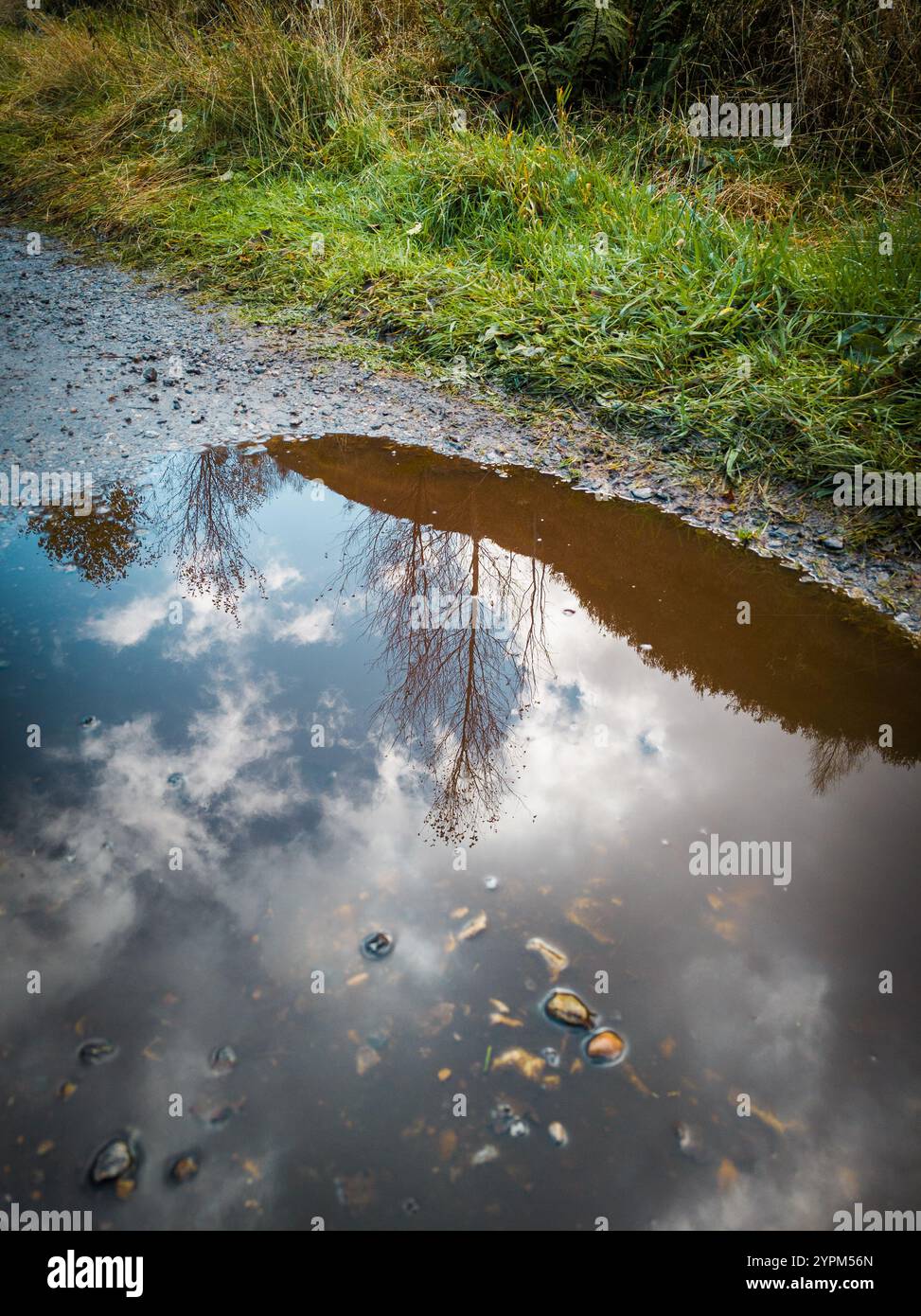 Rural textures hi-res stock photography and images - Alamy
