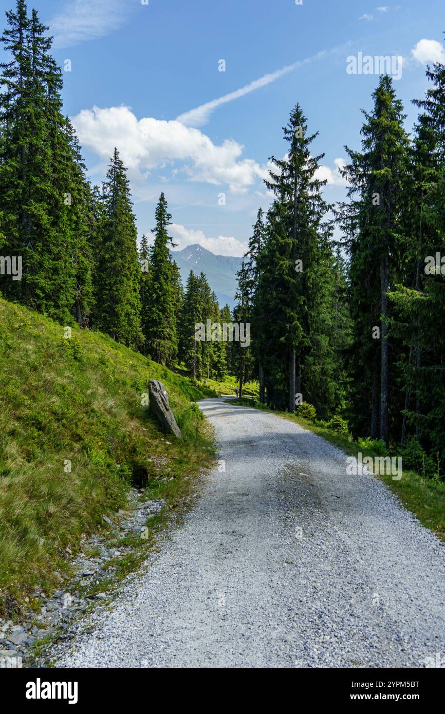 hiking in the austrian alps Stock Photo - Alamy