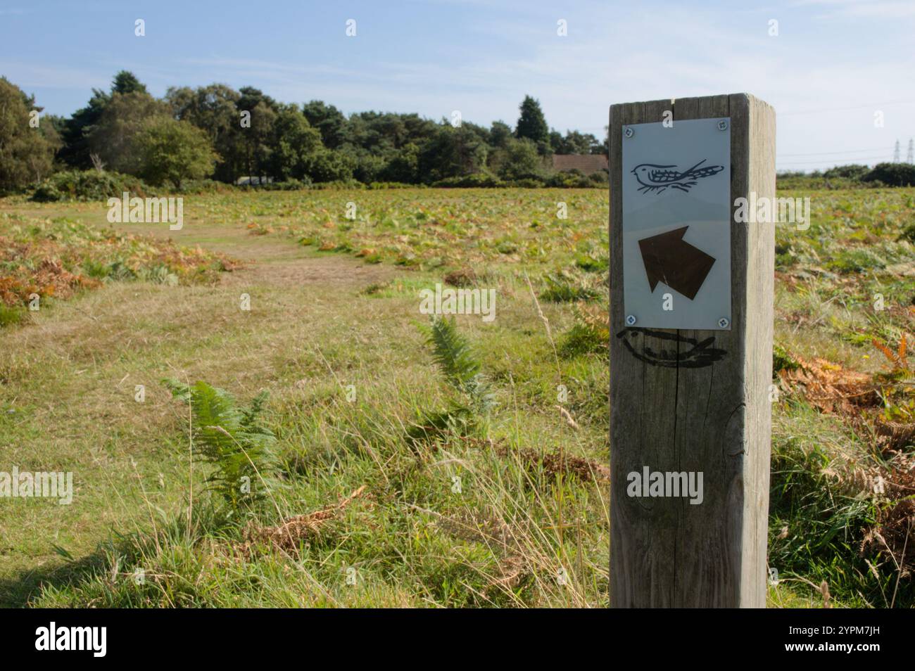 The sandlings walk hi-res stock photography and images - Alamy