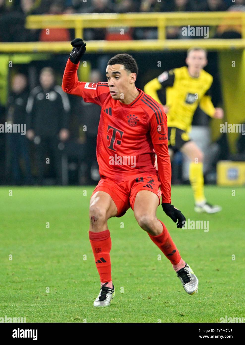Signal Iduna Park Dortmund Germany, 30.11.2024, Footbal: l Bundesliga ...