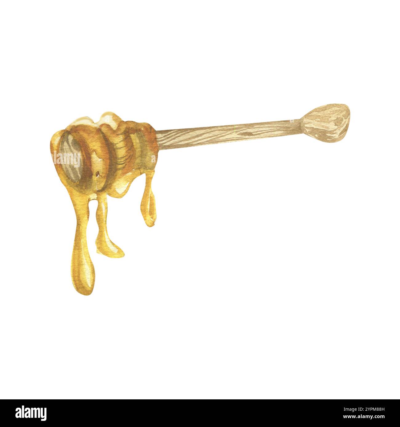 Wooden dipper with fresh sweet honey watercolor illustration. Hand ...