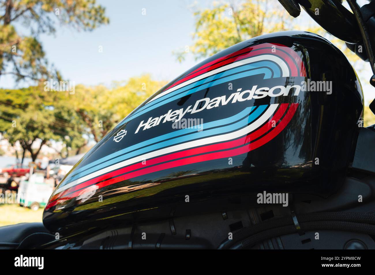 Fuel tank of a Harley-Davidson motorcycle, decorated with colorful ...