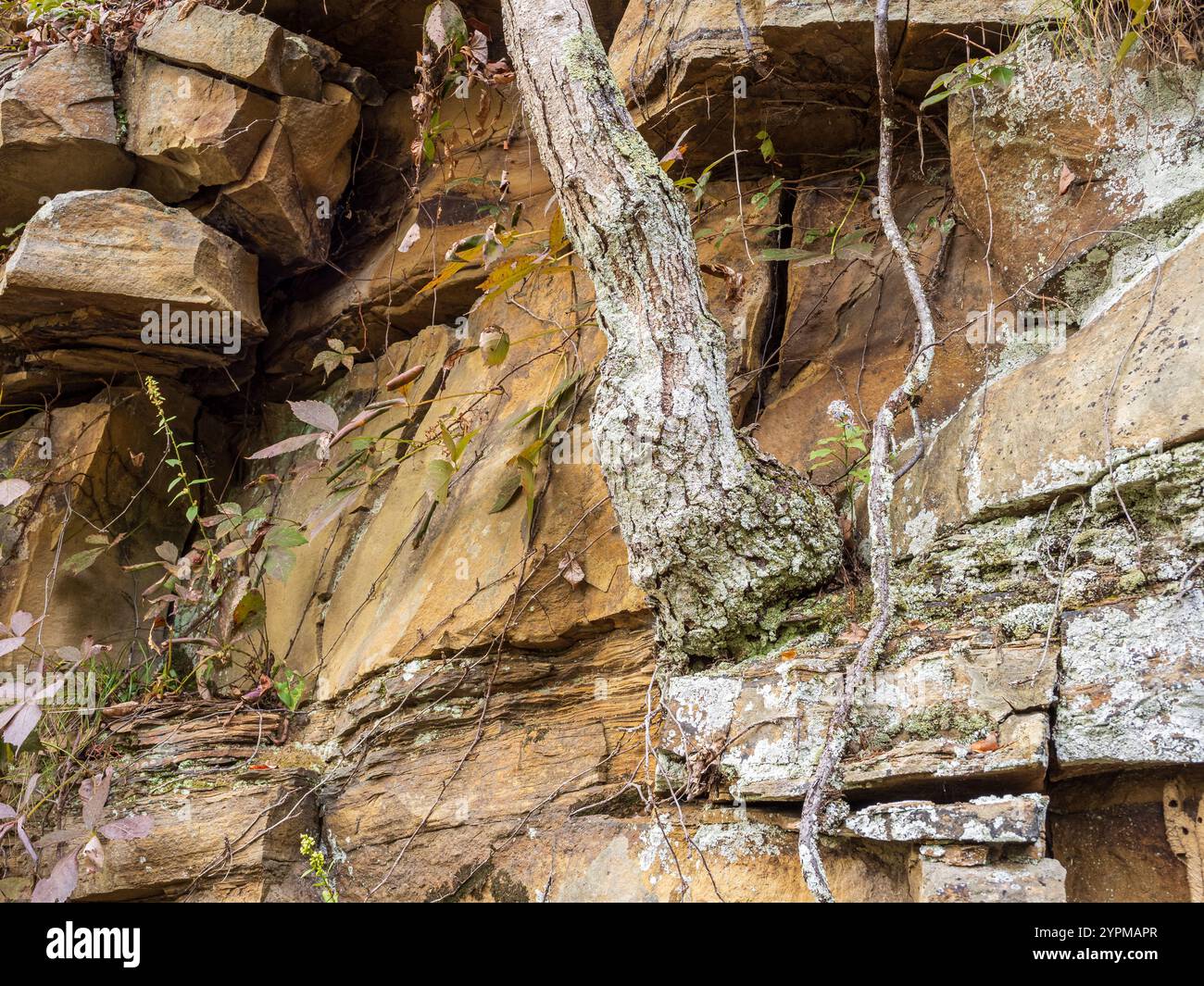 Illustrating tightly hi-res stock photography and images - Alamy