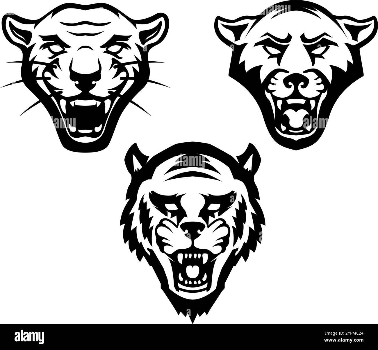 Puma drawing hi-res stock photography and images - Alamy