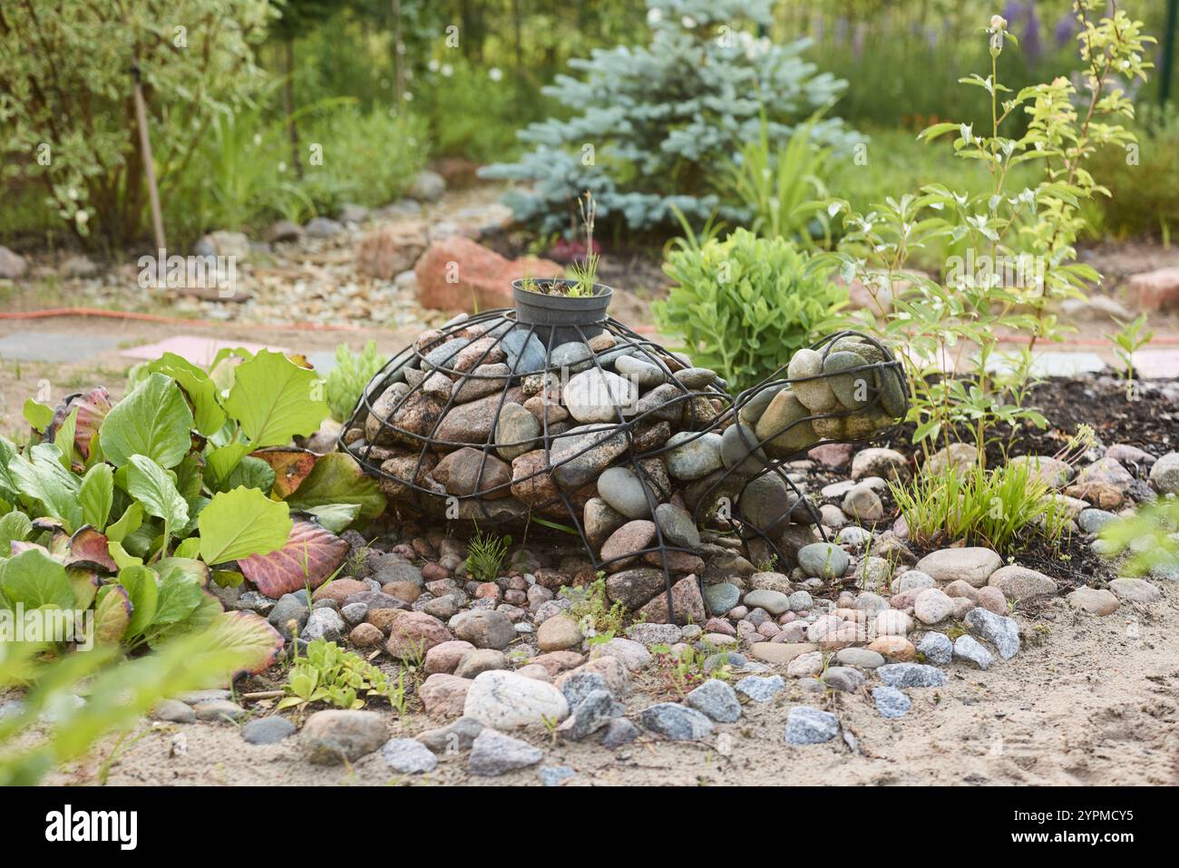 Stunning Artistic Garden Sculpture of a Turtle Made from Beautifully ...