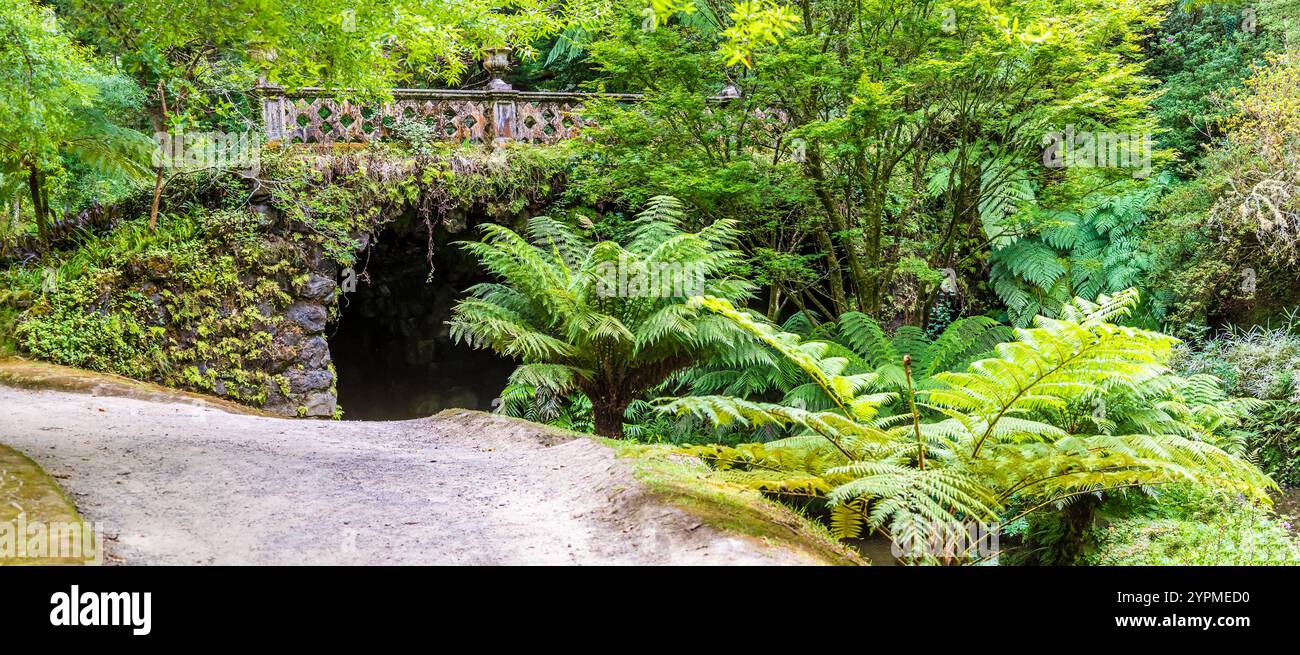 shade, bark, brown, grass, bridge, stream, stone, arch, branch, canopy ...