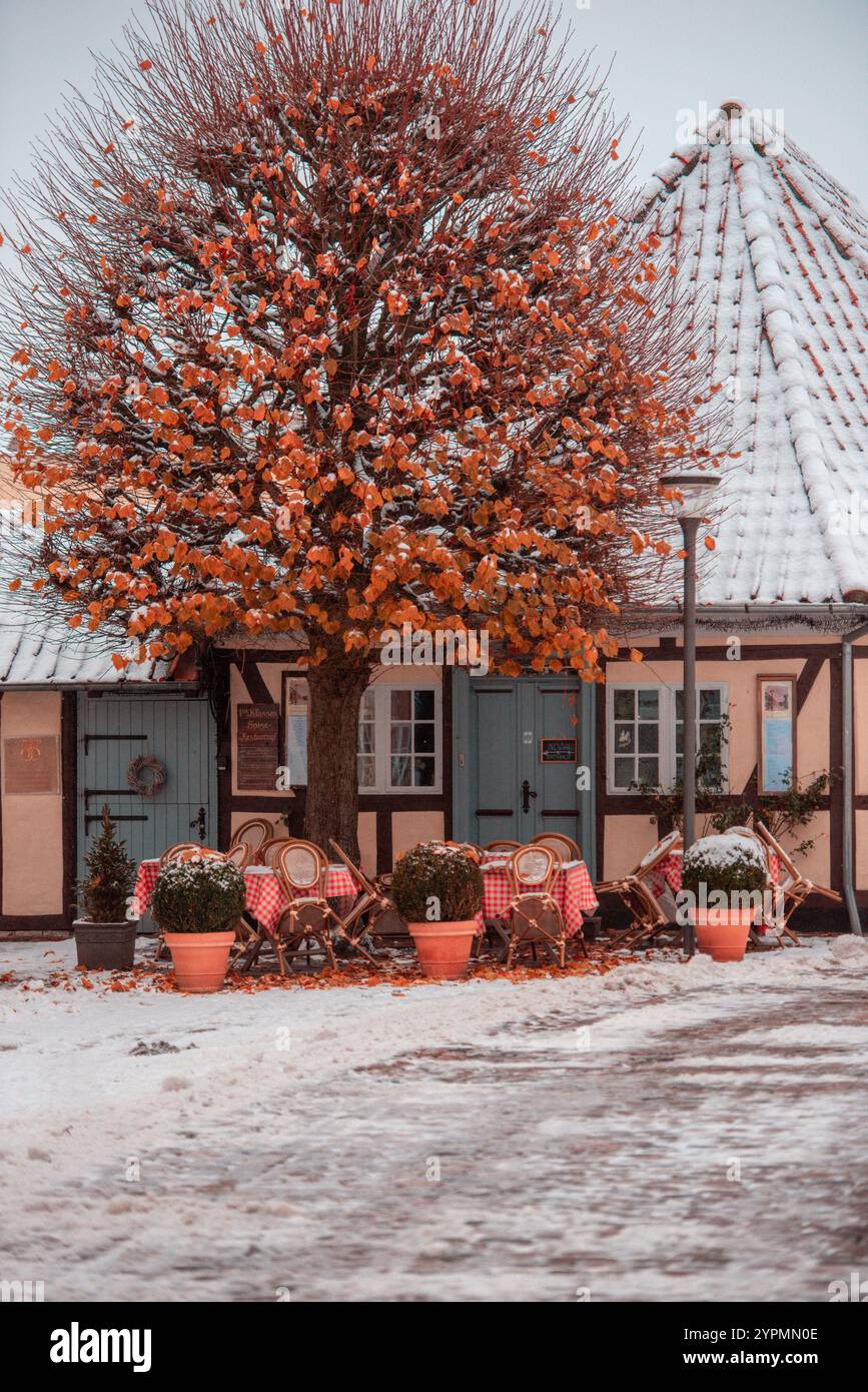Snow-covered Scandinavian streets in Odense, Denmark, featuring ...