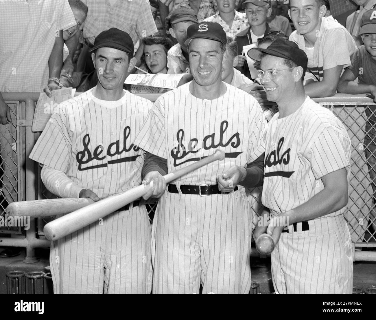 The DiMaggio Brothers (L to R) Joe, Vince and Dom DiMaggio all playing ...