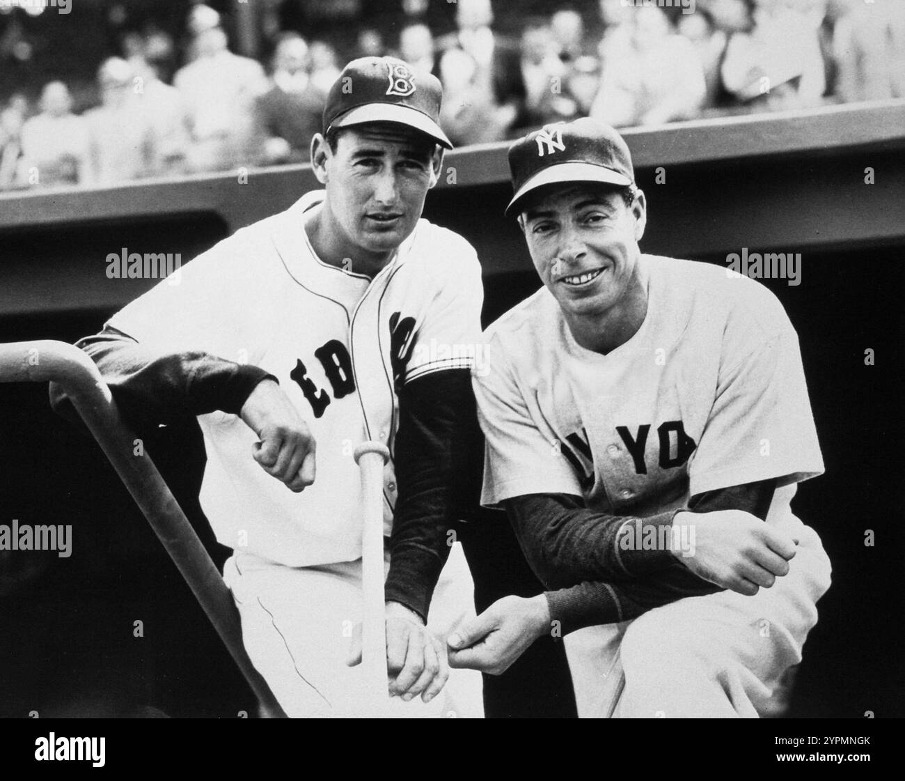 Red Sox Ted Williams and New York Yankee Joe DiMaggio, c 1940s Stock ...