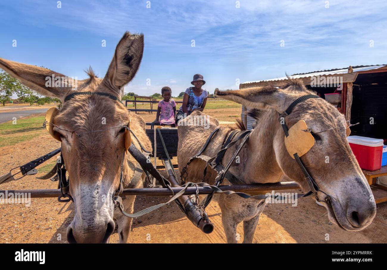 donkey cart, mother and child next to tuck shop , spaza shop, street ...