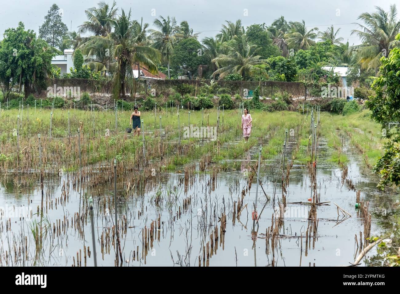 Scenes showing the local community of Tiger Island from hauling fish ...