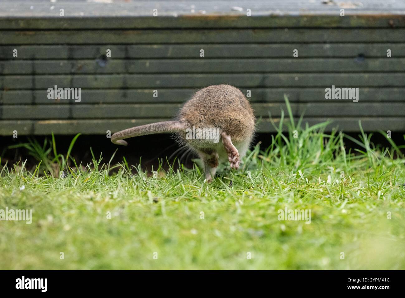 Running under hi-res stock photography and images - Alamy