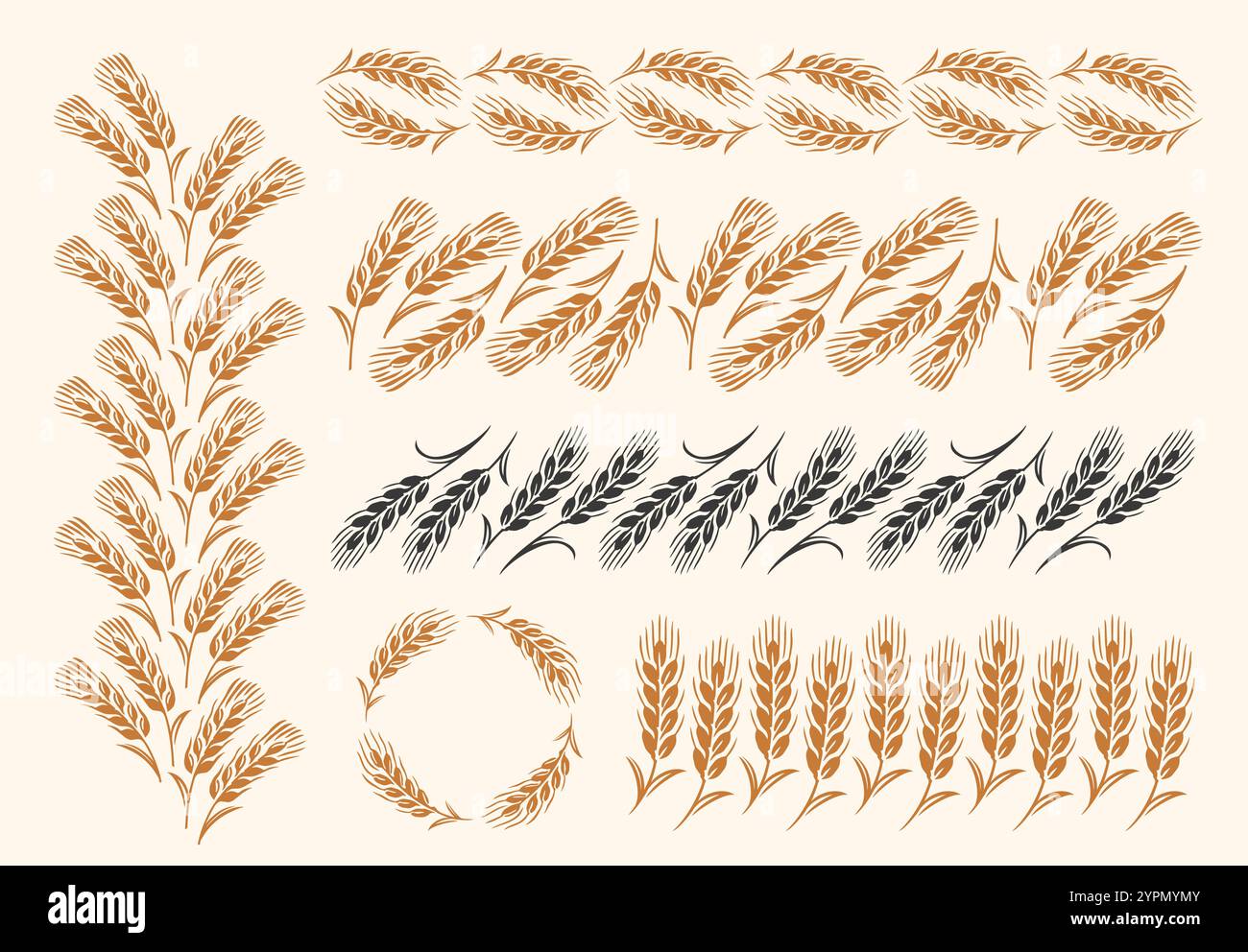 Wheat concept. Decorative patterns, ornaments and elements for ...