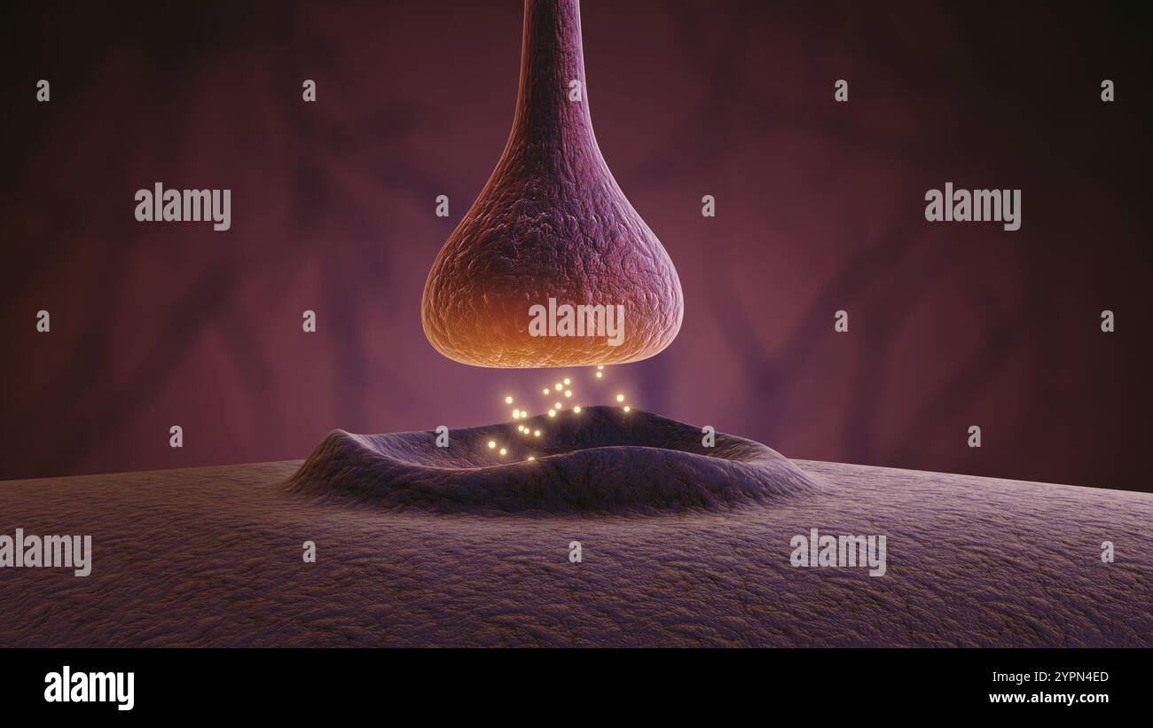 Dynamic Neural Connections Facilitating Synaptic Signal Transmission ...