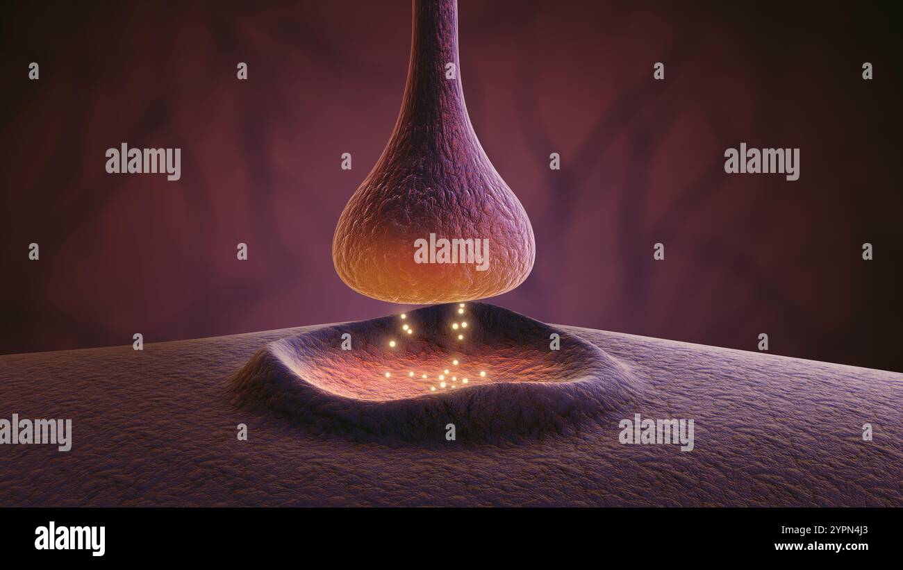Dynamic Neural Connections Facilitating Synaptic Signal Transmission ... Dynamic Neural Connections Facilitating Synaptic Signal Transmission ...