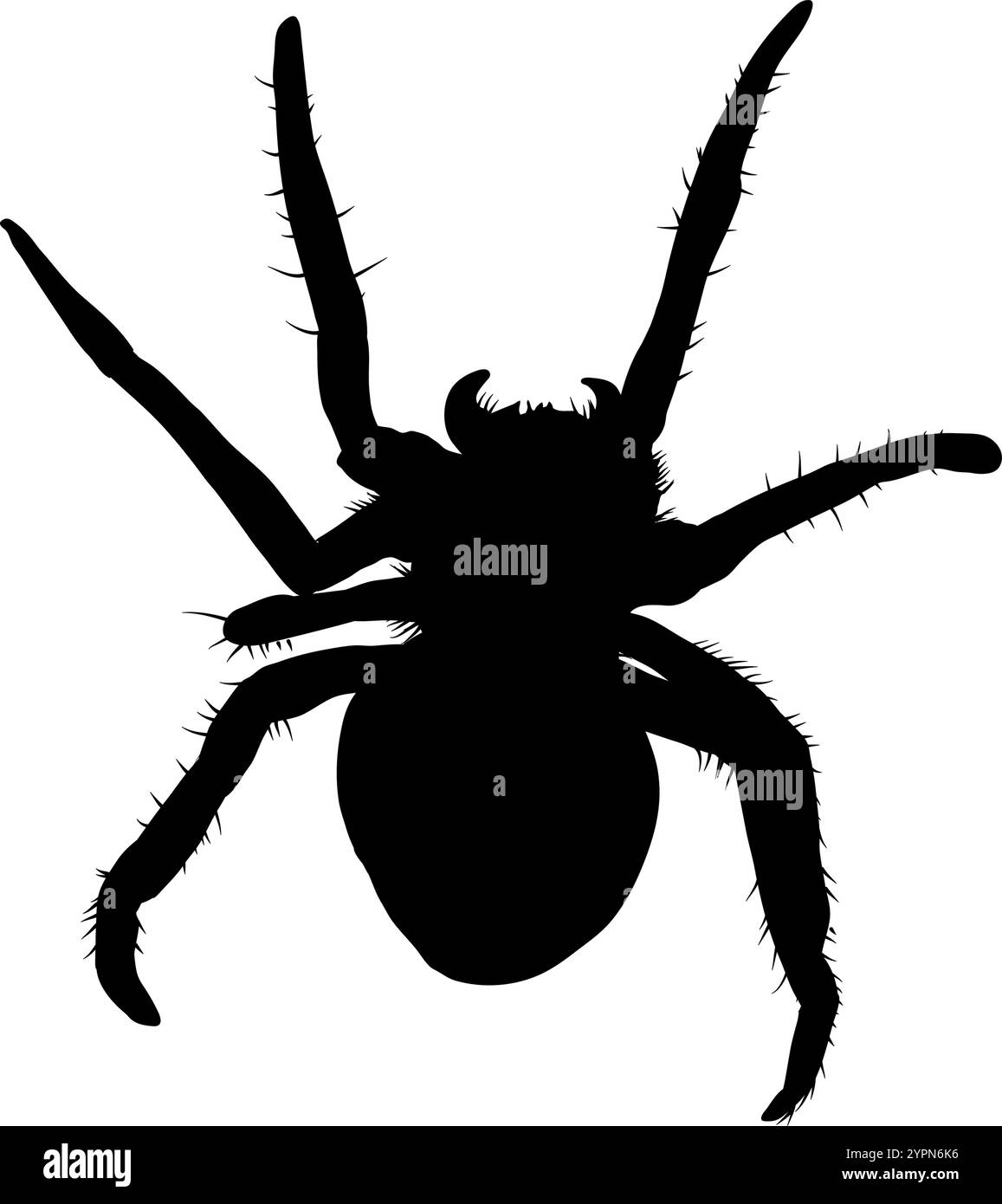 silhouette of spider isolated Stock Vector Image & Art - Alamy