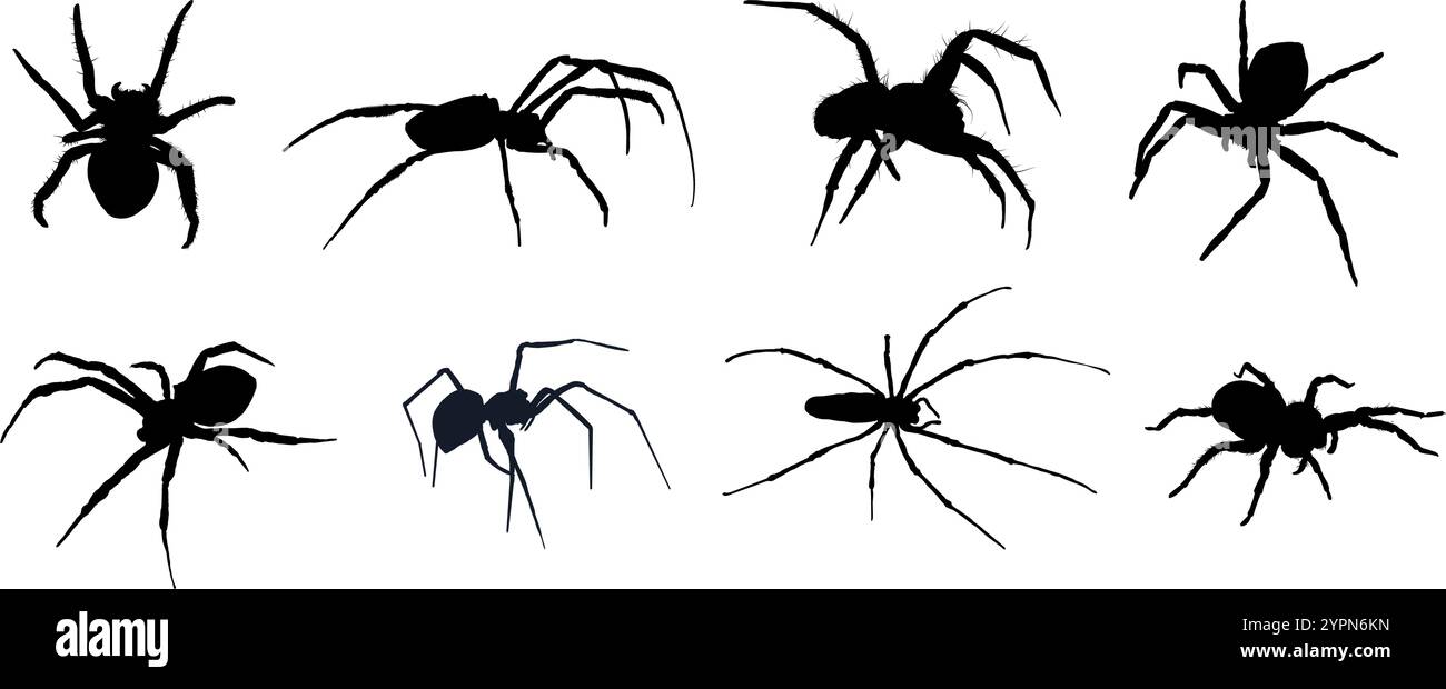 set of spider silhouette isolated Stock Vector Image & Art - Alamy