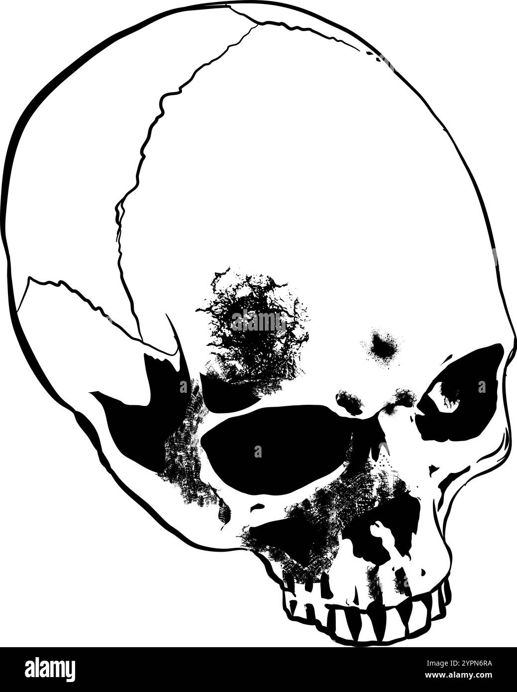 skull - vector illustration Stock Vector Image & Art - Alamy