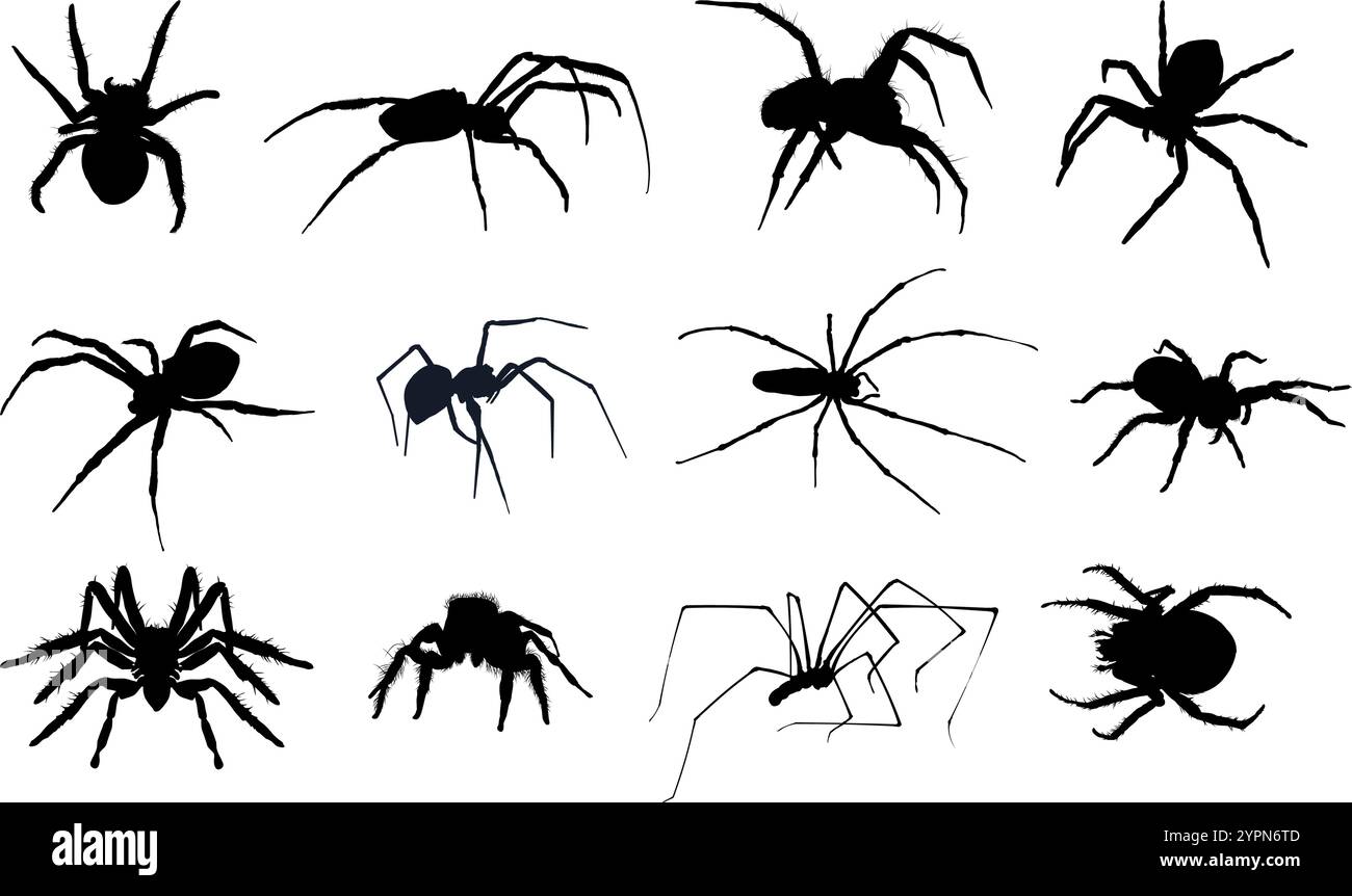 set of spider silhouette isolated Stock Vector Image & Art - Alamy