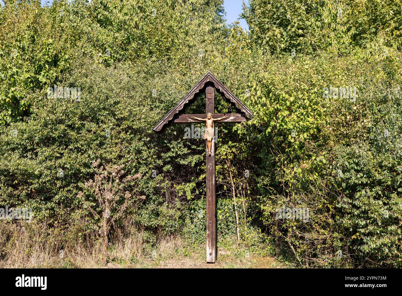 Wooden crucifix in the forest: A weathered wooden cross stands alone in ...