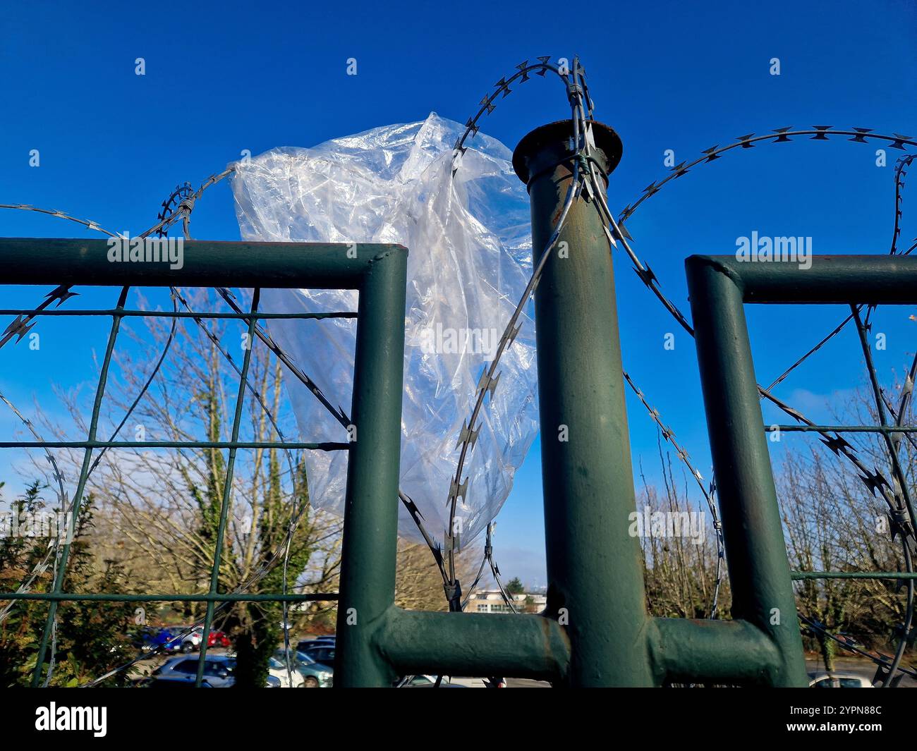 Pollution: plastic sheets hanging on barbed wire after a strong wind ...
