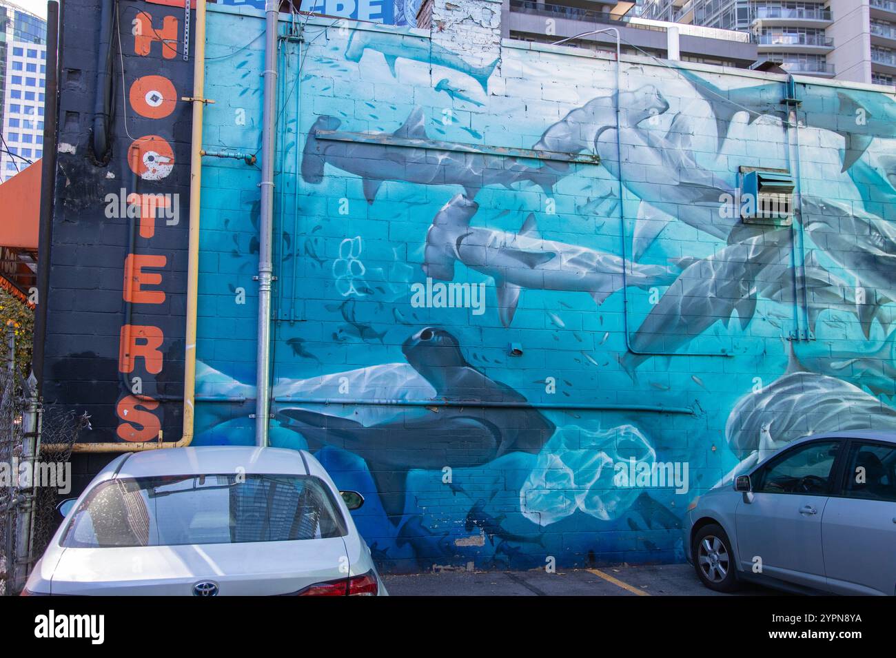 Sharks swimming mural on Adelaide Street West in downtown Toronto ...