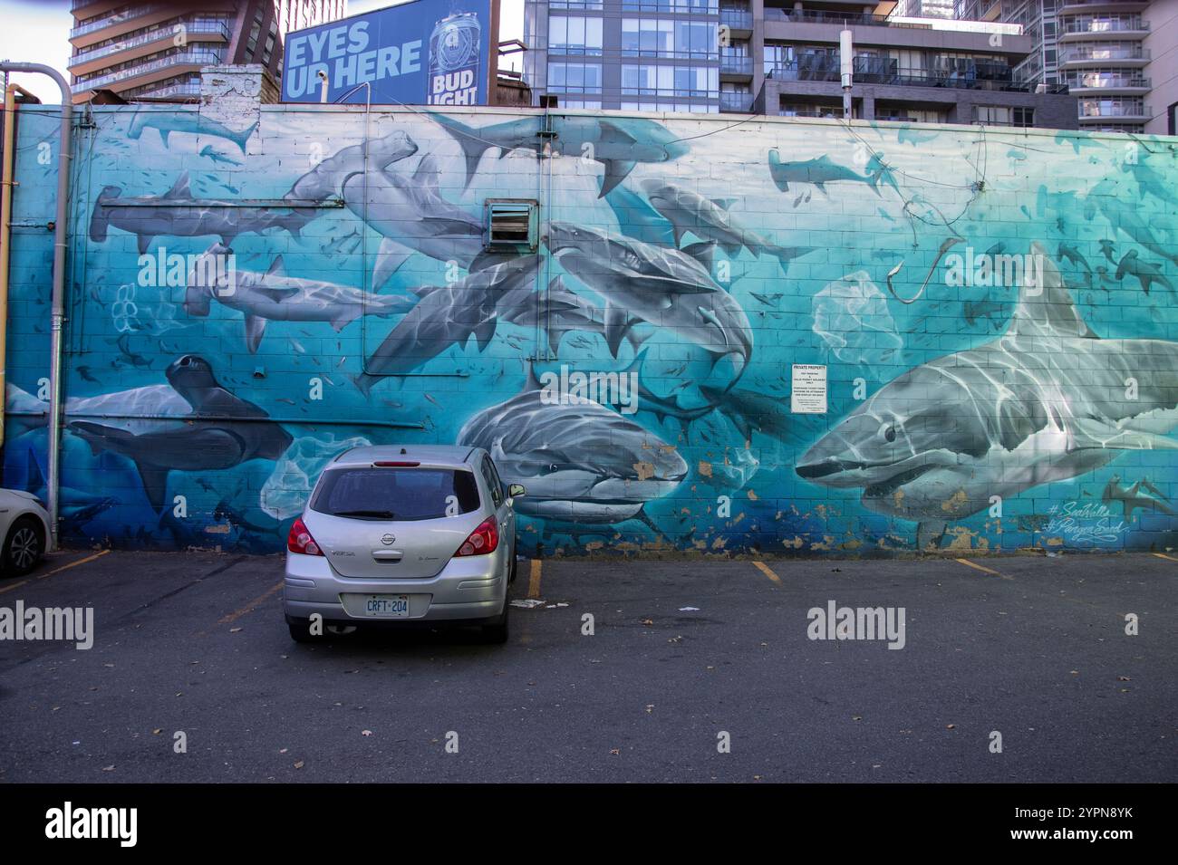 Sharks swimming mural on Adelaide Street West in downtown Toronto ...