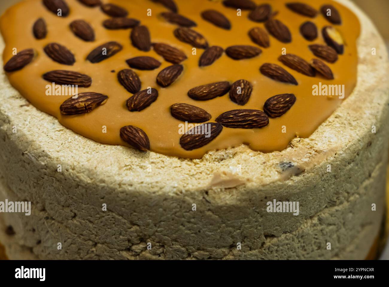 Halva is a traditional Middle Eastern confection made primarily from ...