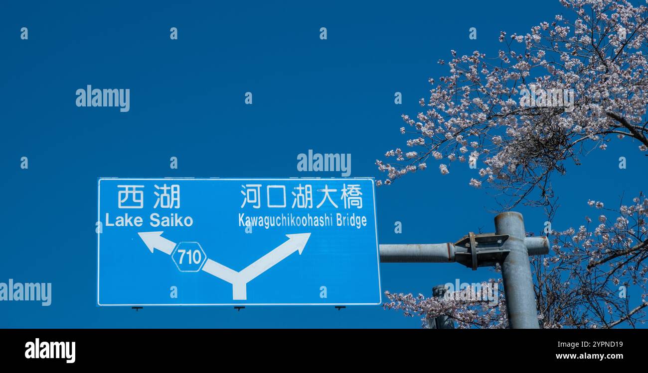 Road sign in Kawguchico, Japan, cherry blossom and clear blue sky ...