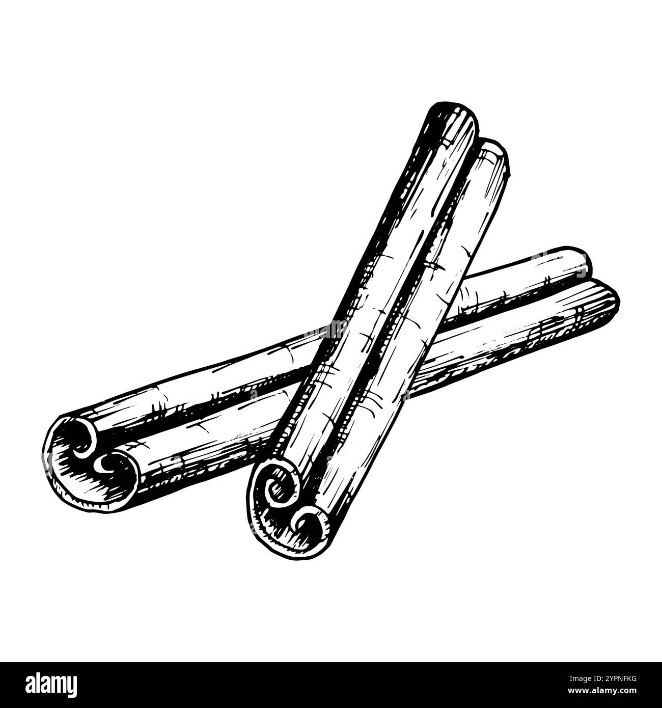 Hand drawn vector illustration of crossed cinnamon sticks in detailed ...