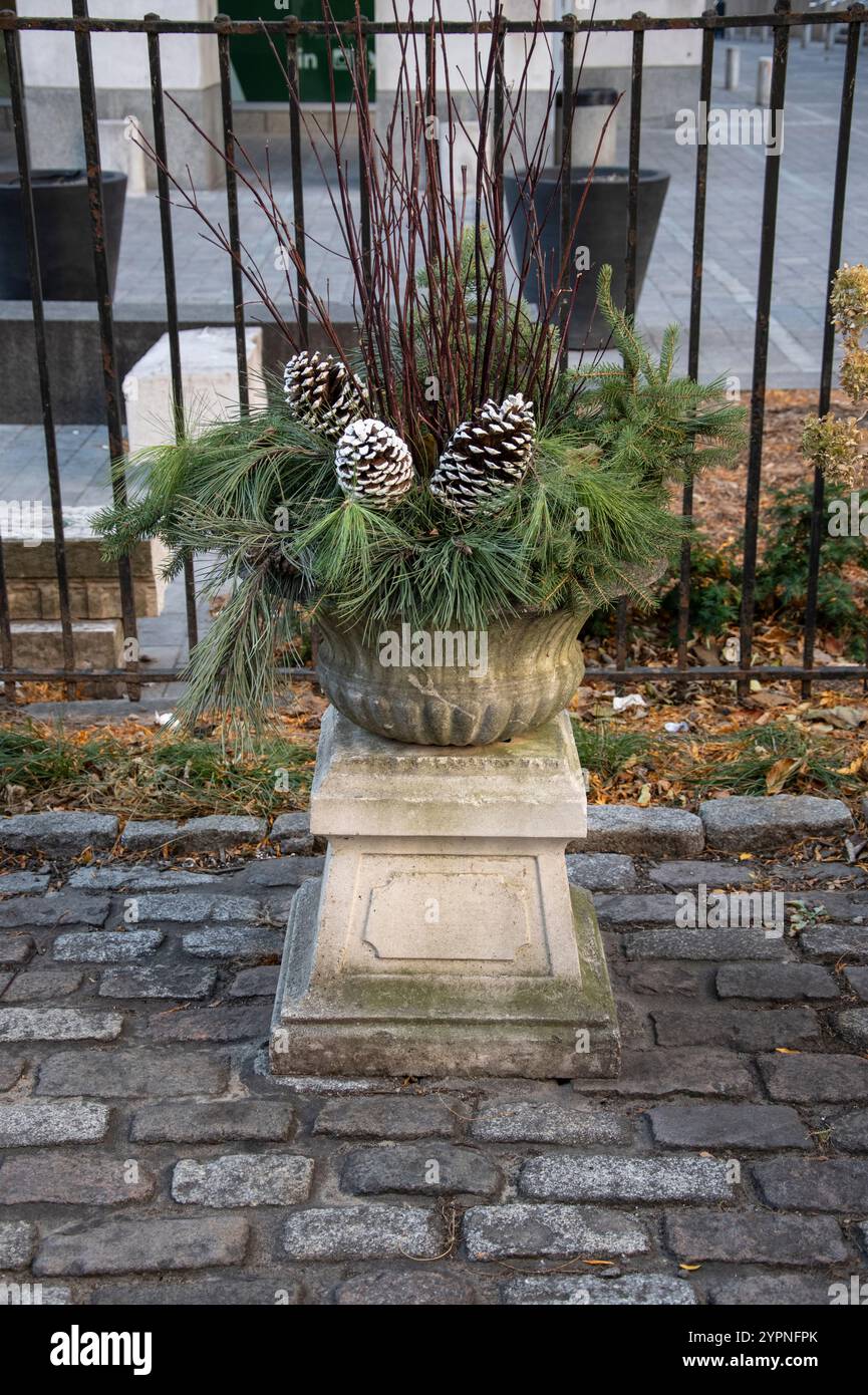 Potted plant at Osgoode Hall gardens on Queen Street West in downtown ...