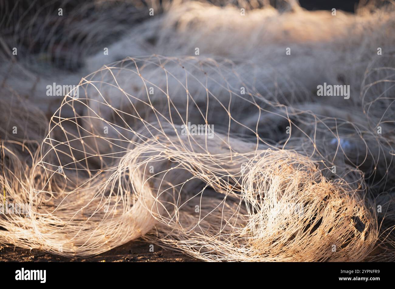 Intricate nets hi-res stock photography and images - Alamy