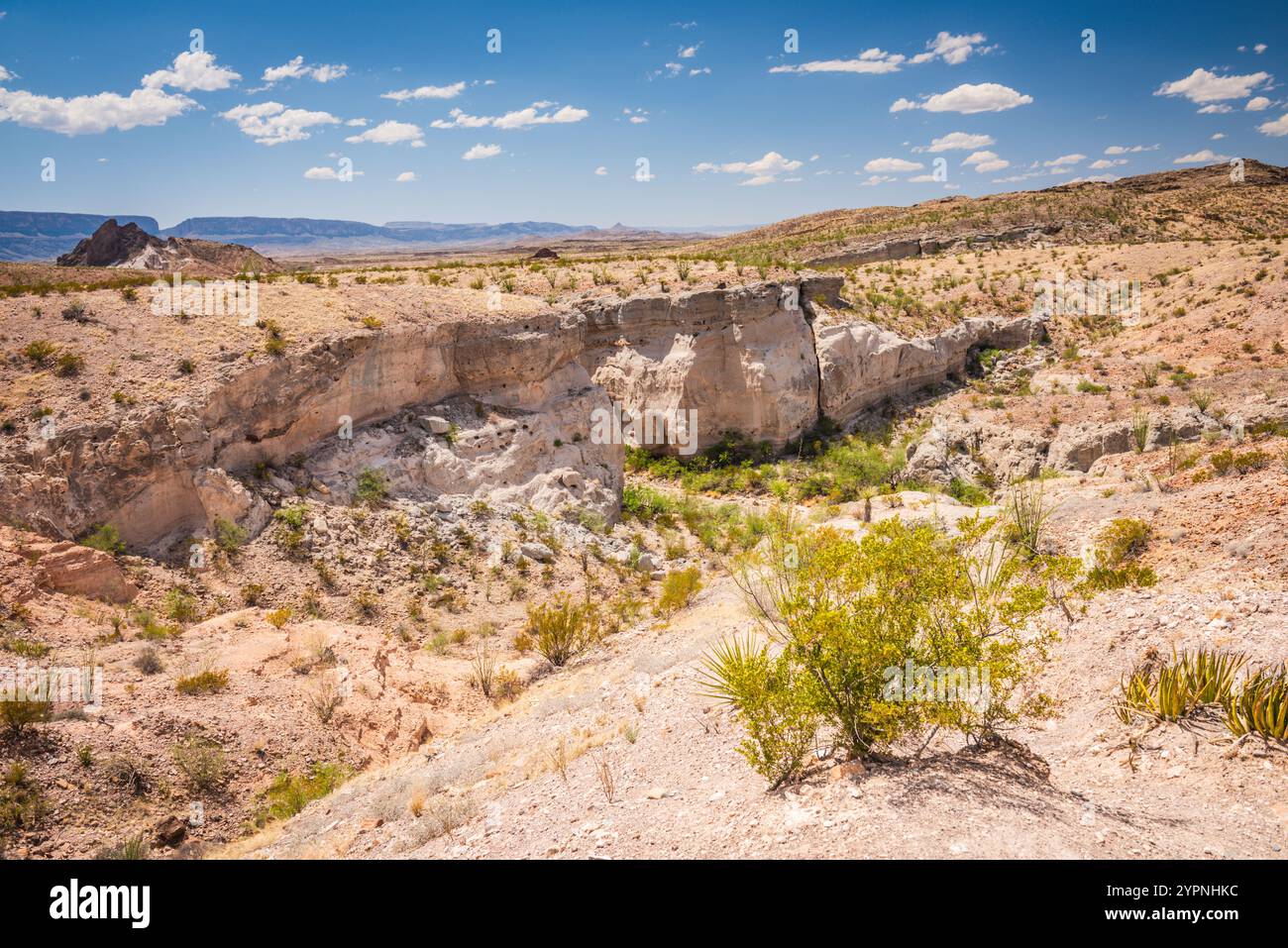 Desert vista at Tuff Canyon overlook in Big Bend National Park at ...