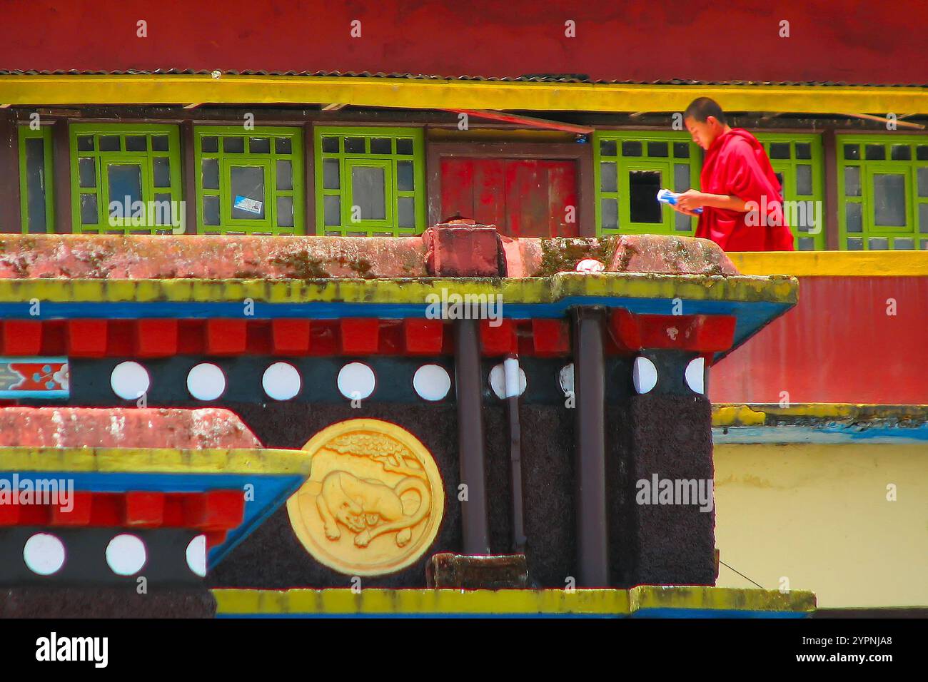 Gangtok, Sikkim, India - 9th May 2008 : A monky studying at Rumtek ...