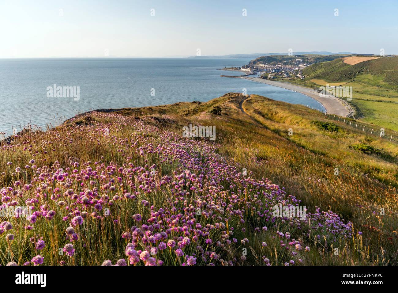 Alt wen hi-res stock photography and images - Alamy