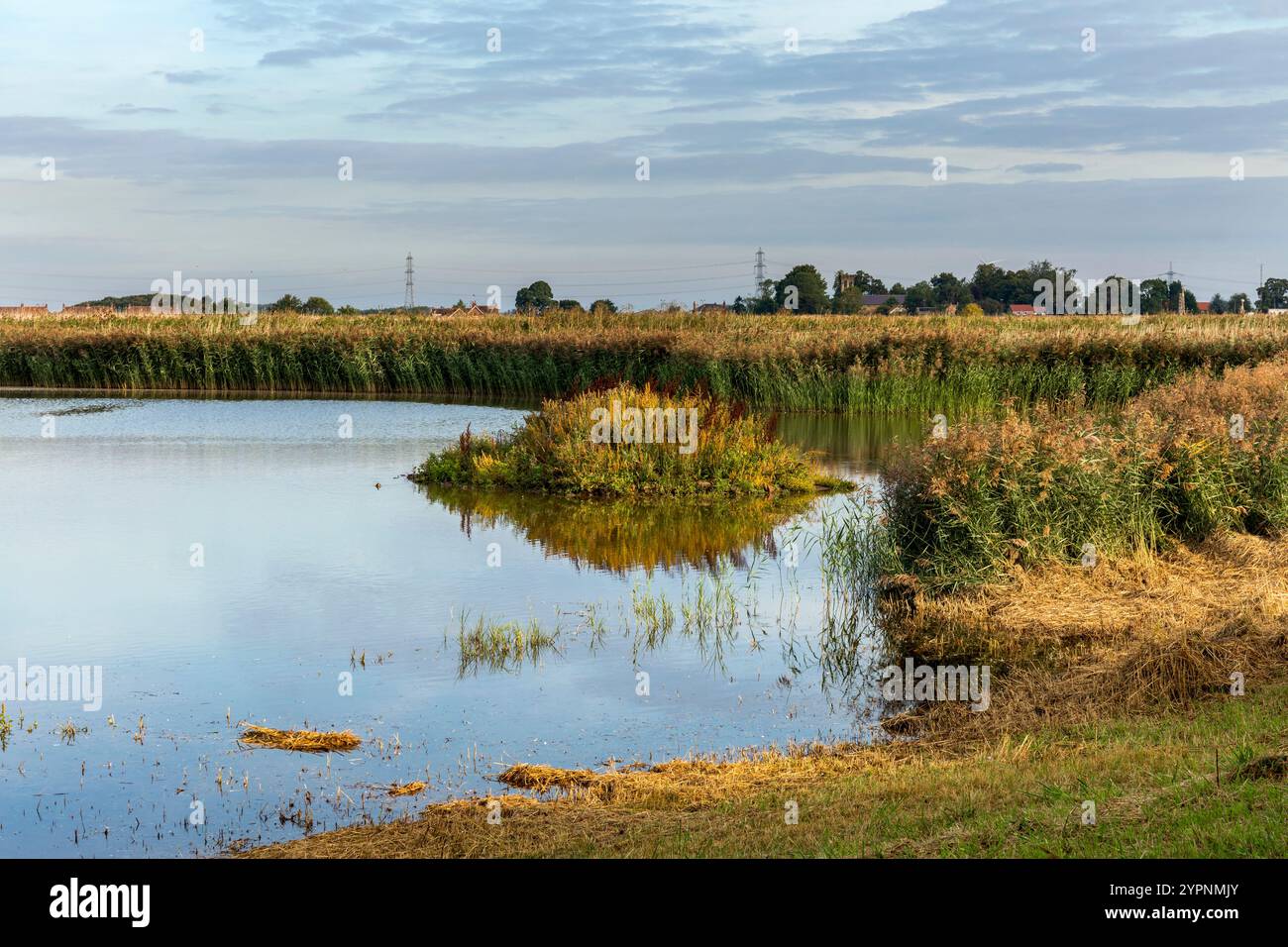 Blacktoft sands hi-res stock photography and images - Alamy