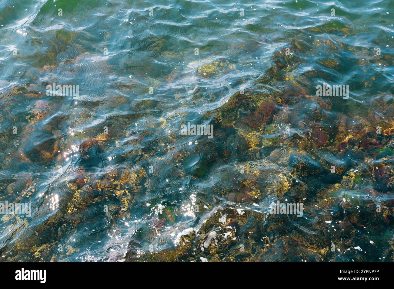 transparent waves through which stones are visible. Sea Stock Photo - Alamy