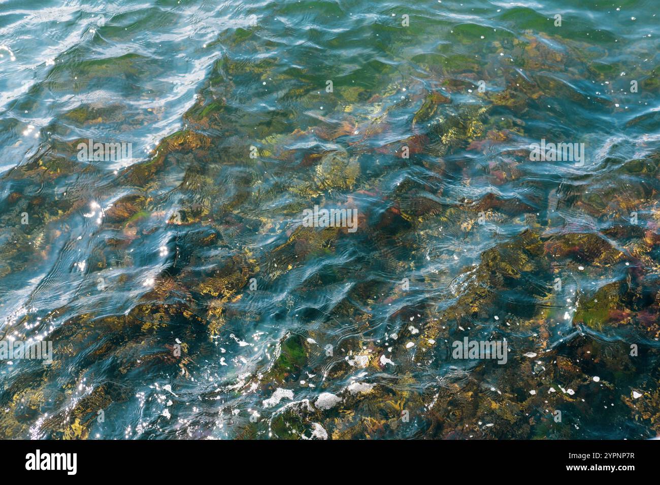 transparent waves through which stones are visible. Sea Stock Photo - Alamy