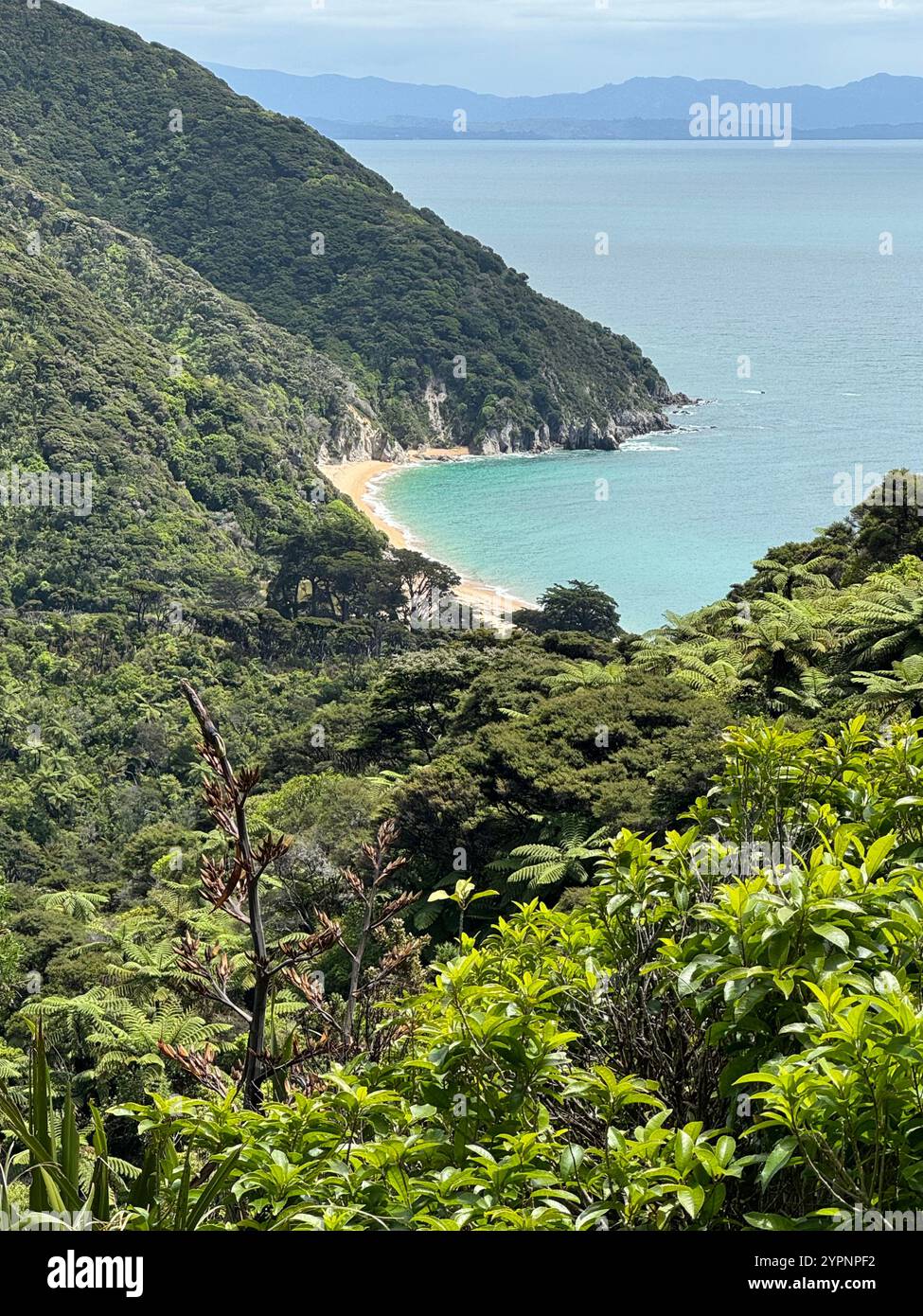 Hidden paradise secluded golden hi-res stock photography and images - Alamy