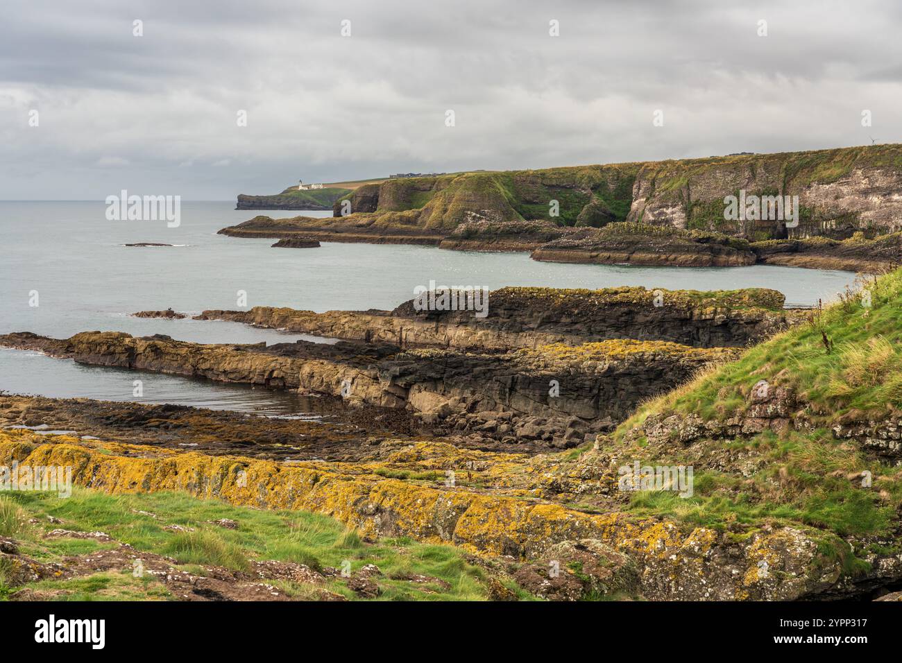 The cliffs and North Sea coast in Crawton, Aberdeenshire, Scotland, UK ...