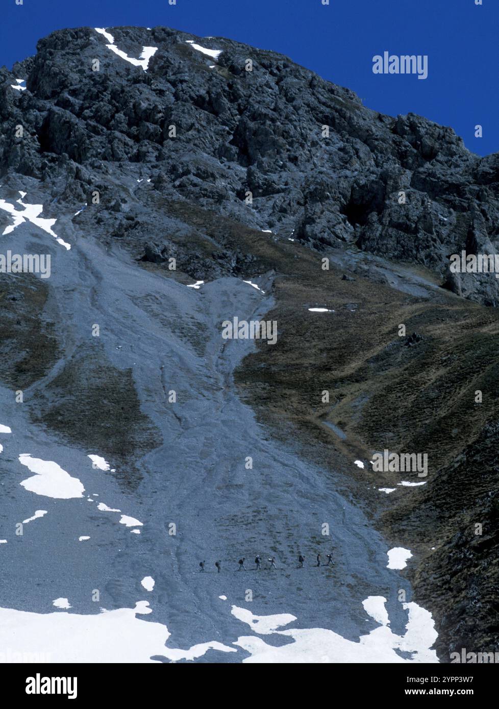 Swiss alps: Hiking in the Swiss National Park is a great adventure ...