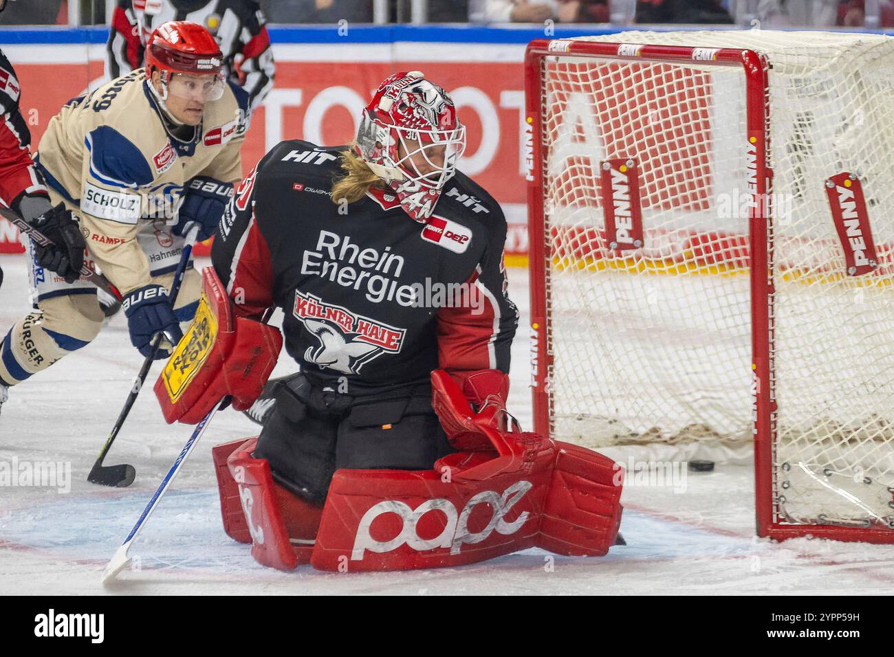 01.12.2024, Eishockey: Penny DEL, Saison 2024/2025, 22. Spieltag ...
