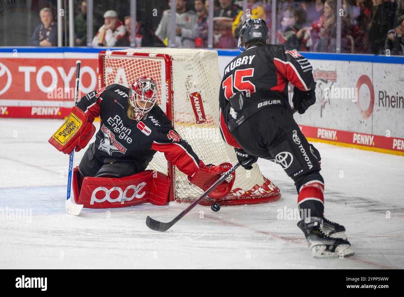 01.12.2024, Eishockey: Penny DEL, Saison 2024/2025, 22. Spieltag ...