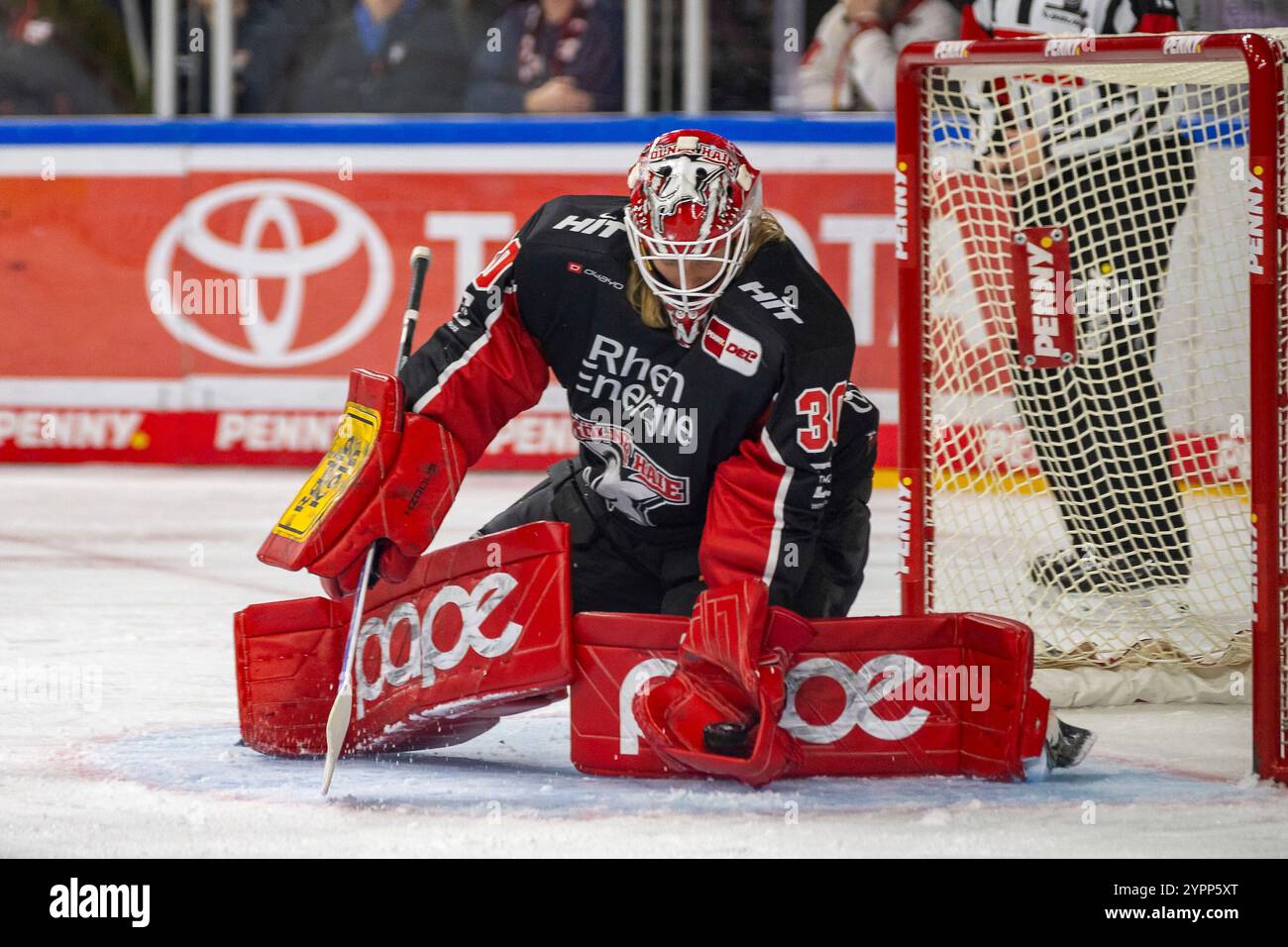 01.12.2024, Eishockey: Penny DEL, Saison 2024/2025, 22. Spieltag ...
