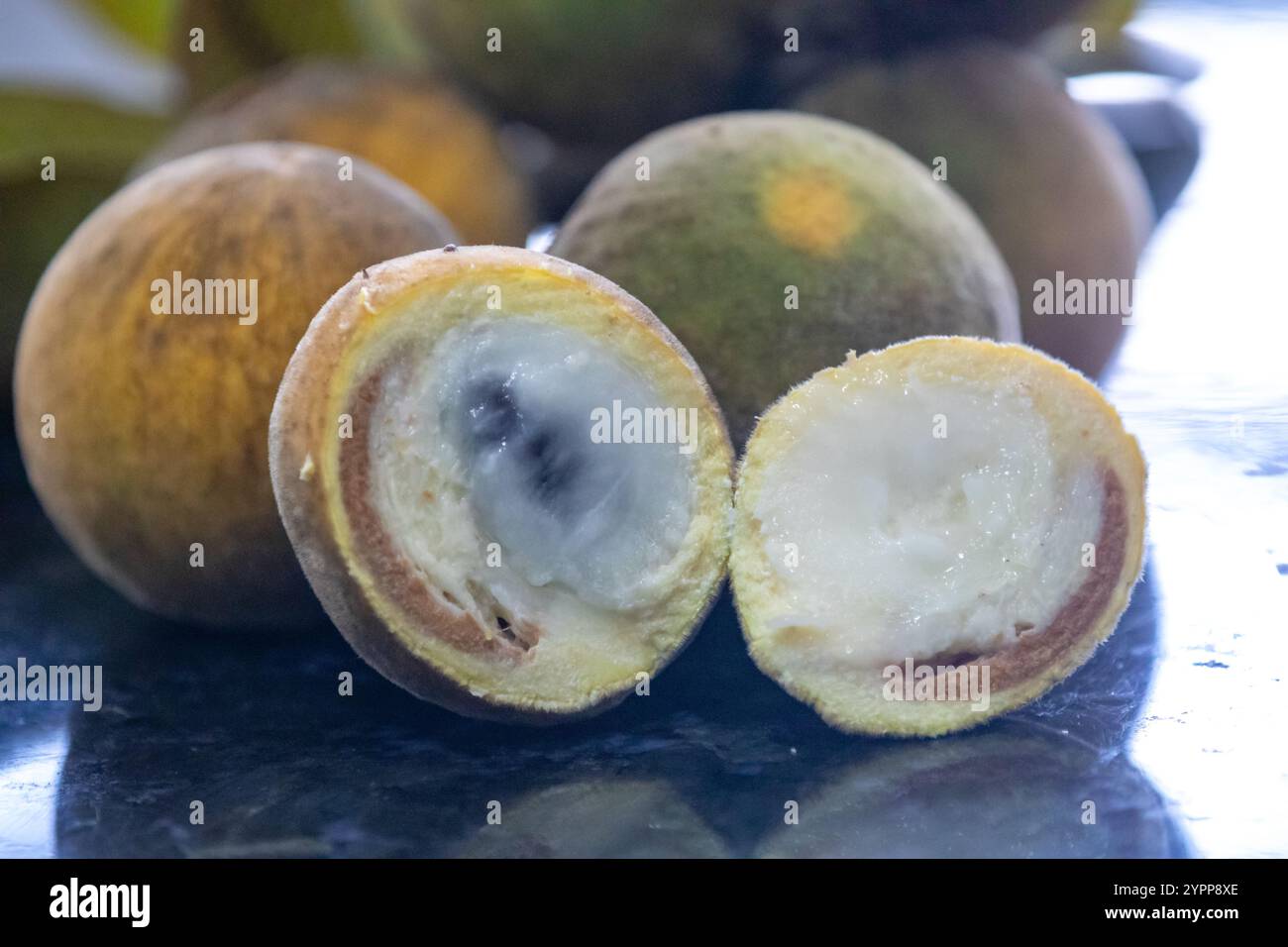 Curriola (Pouteria ramiflora) wild fruit from the Brazilian cerrado ...