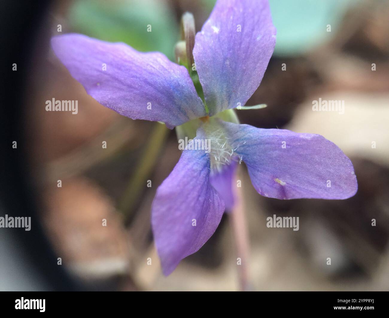 Le contes hi-res stock photography and images - Alamy